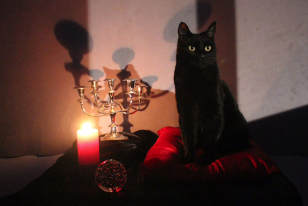 Sabrina, le remake de la série phare des années 90 débarque sur Netflix ...