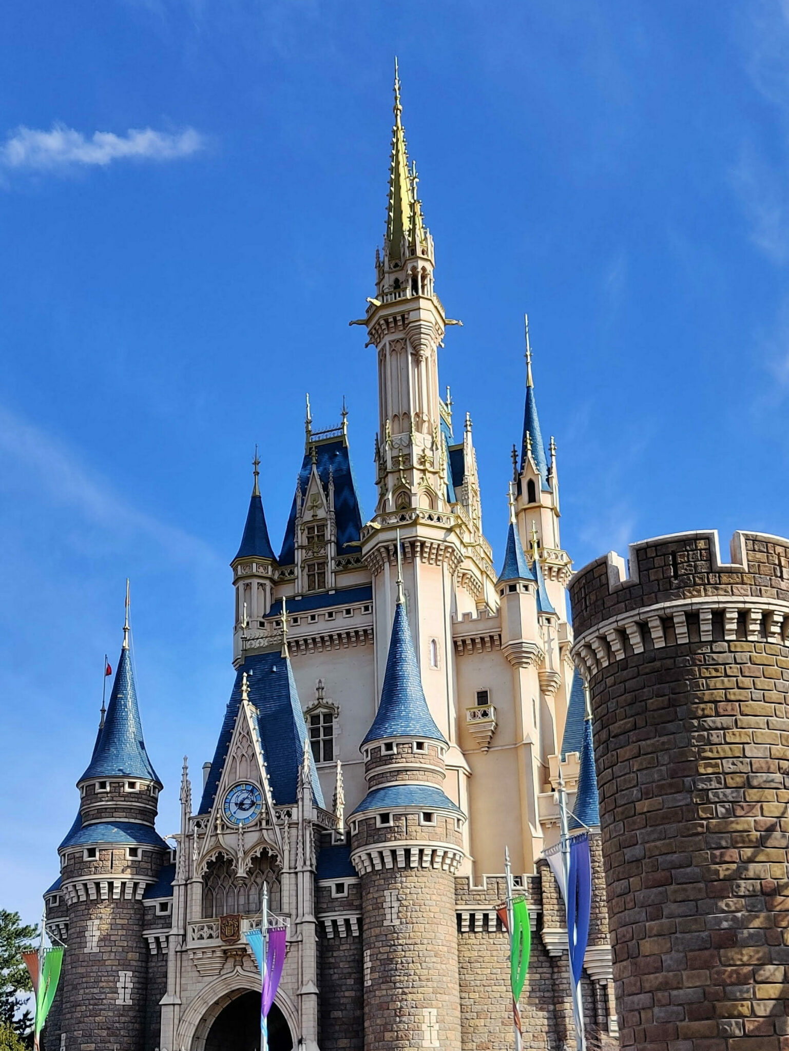 Notre séjour à Tokyo Disneyland : nos conseils – Le Lifestyle de Marion